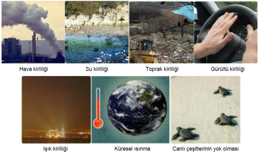 Bölüm 2: İnsan ve Çevre İlişkisi | Faydalı bir site