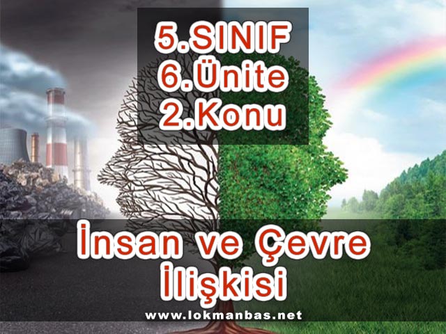Bölüm 2: İnsan ve Çevre İlişkisi - 5.Sınıf - 6.Ünite: İnsan ve Çevre ...