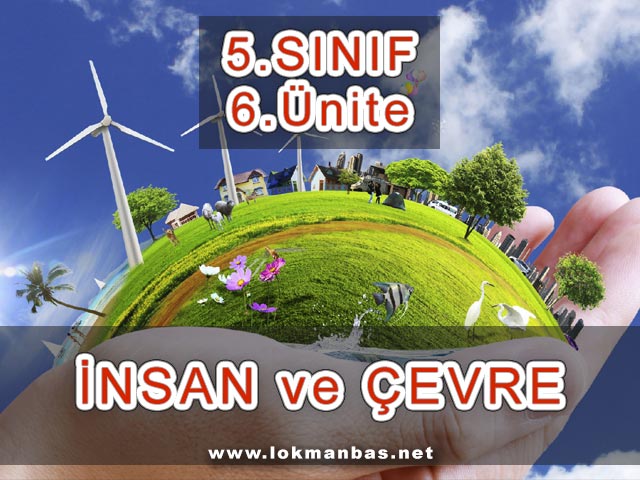 5.Sınıf - 6.Ünite: İnsan ve Çevre - Fen Bilimleri - Ders Notları